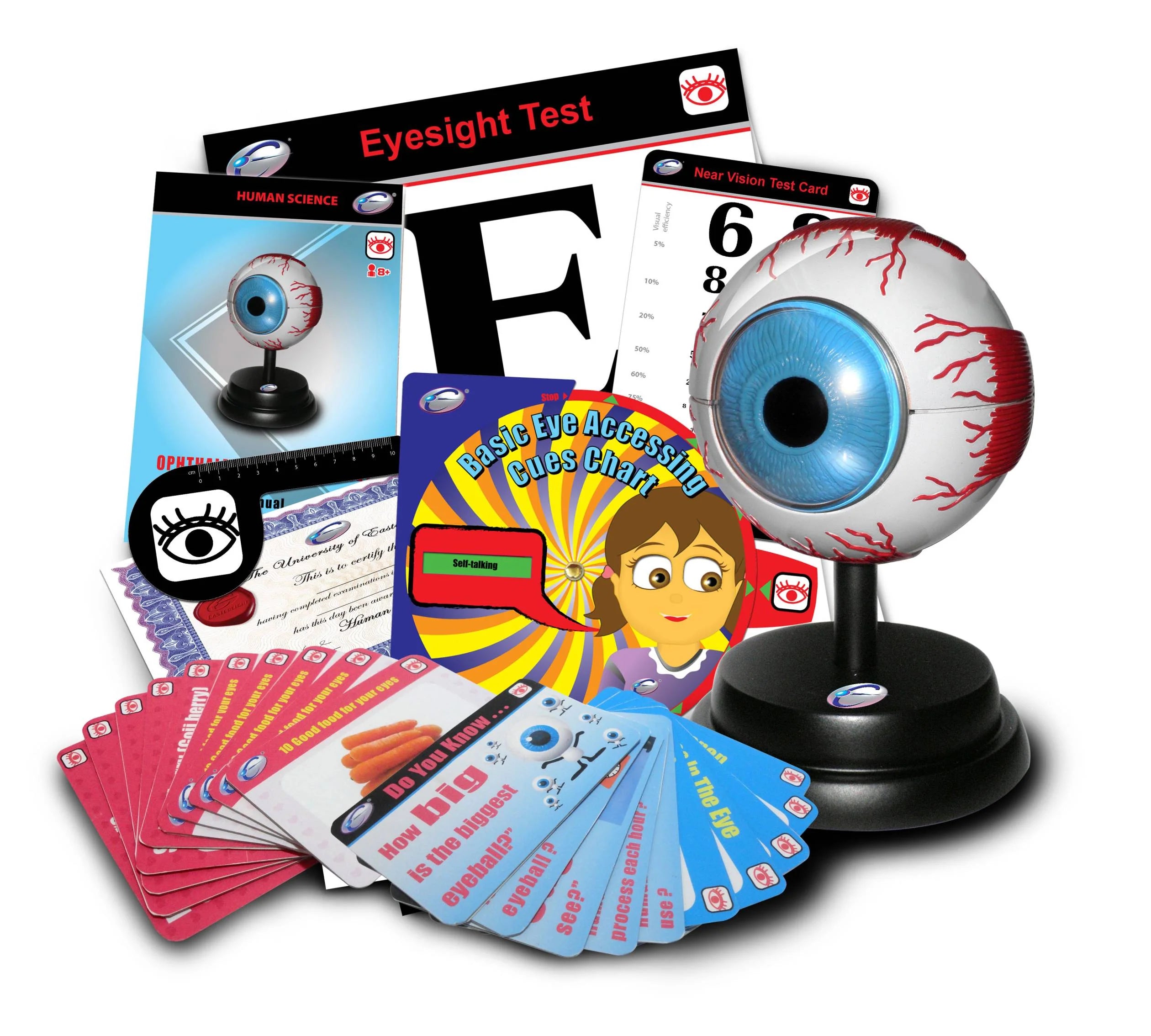 STEM Eye Ophthalmology Model Deluxe Set